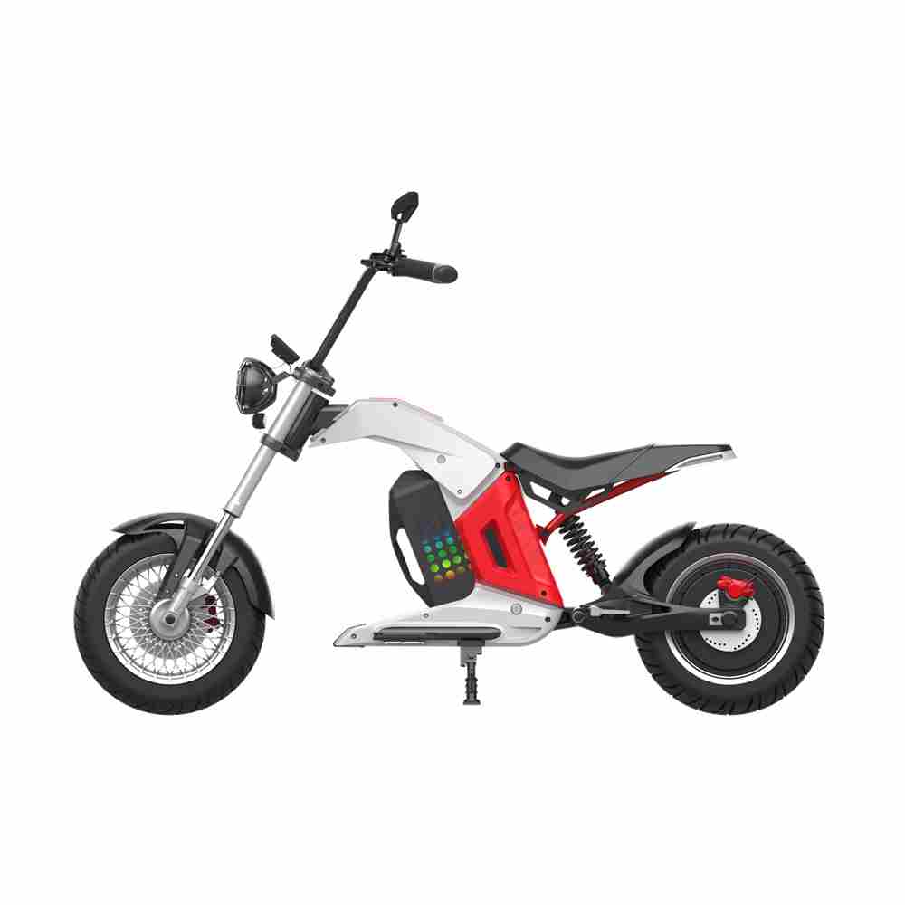 big fat tire electric scooter factory – SHANSU