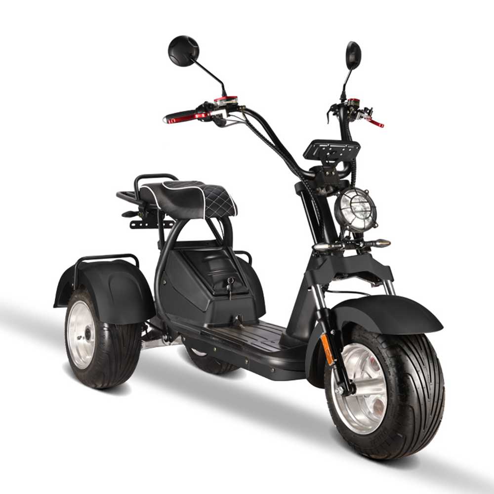 electric trike scooters – Page 2 – SHANSU